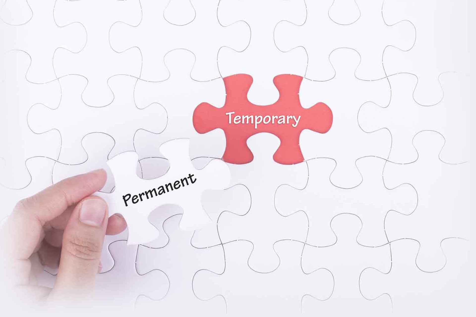 Full Time Staffing Services| Rao IT inc.